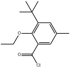 3-(1,1-Dimethylethyl)-2-ethoxy-5-methylbenzoyl chloride | 1500572-98-4
