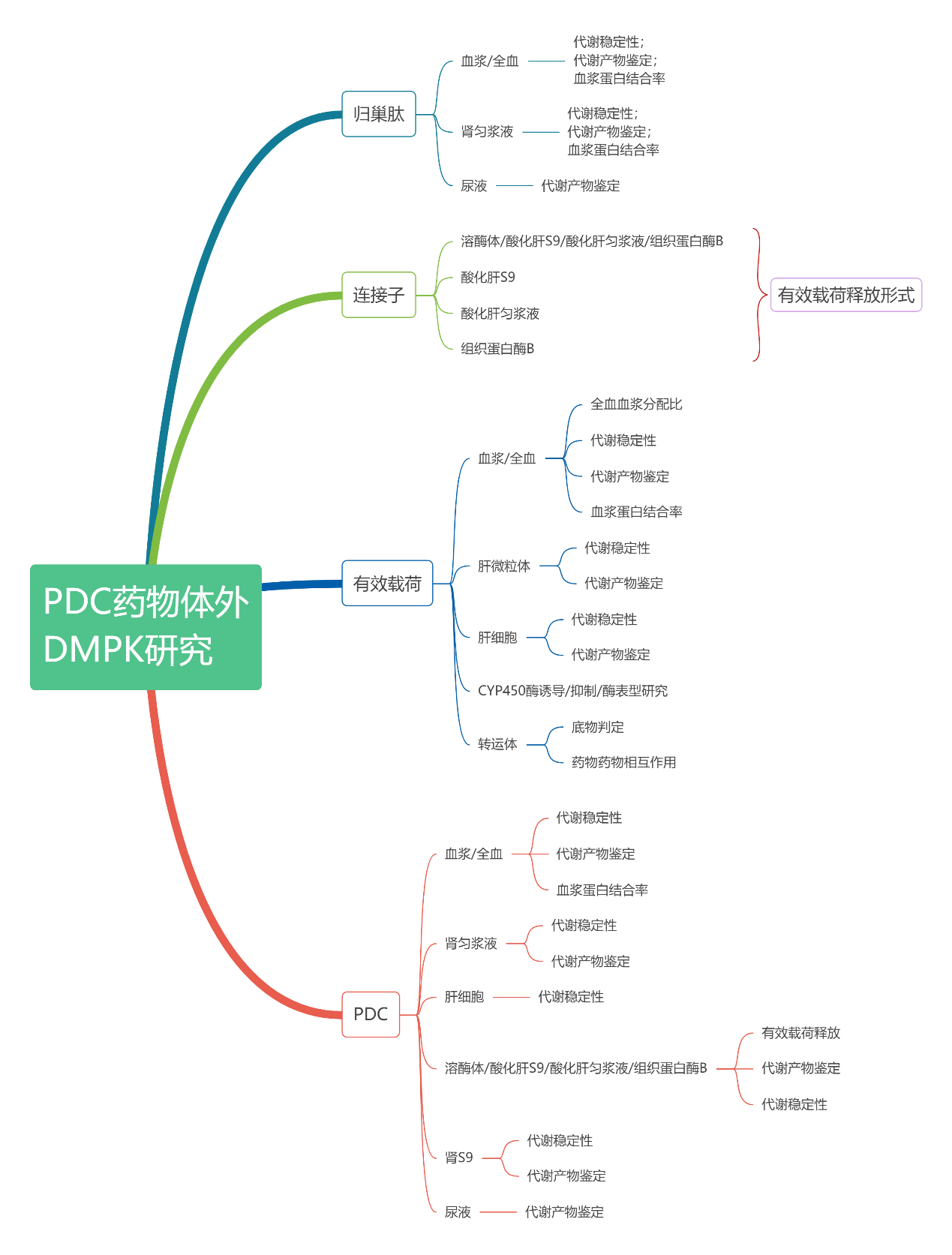 IPHASE/汇智和源 多肽偶联药物体外ADME研究一站式产品解决方案