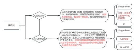 代谢酶相关DDI评估之CYP酶的时间依赖性抑制（TDI）研究