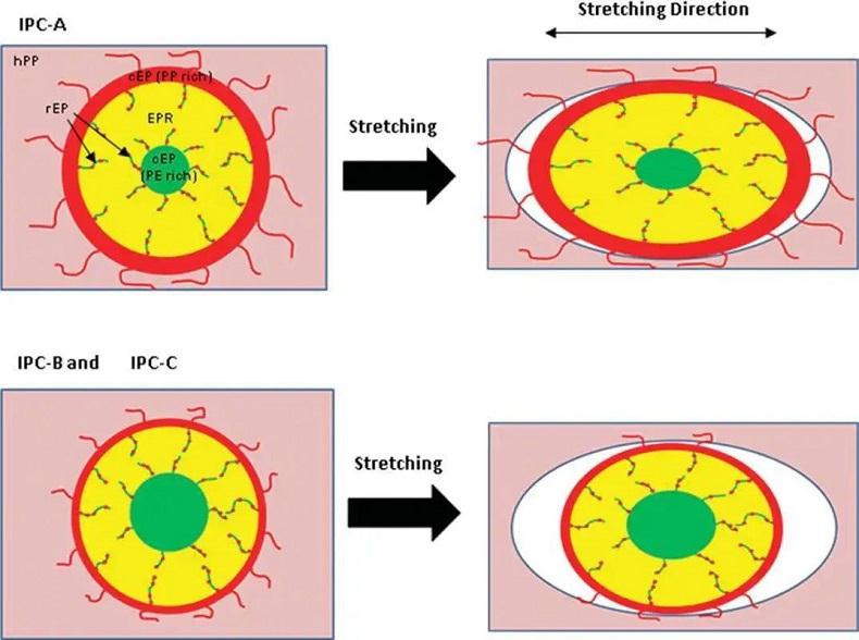 结晶性乙烯丙烯共聚物对抗冲聚丙烯共聚物的机械性能影响