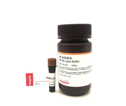 NP-40裂解液的应用